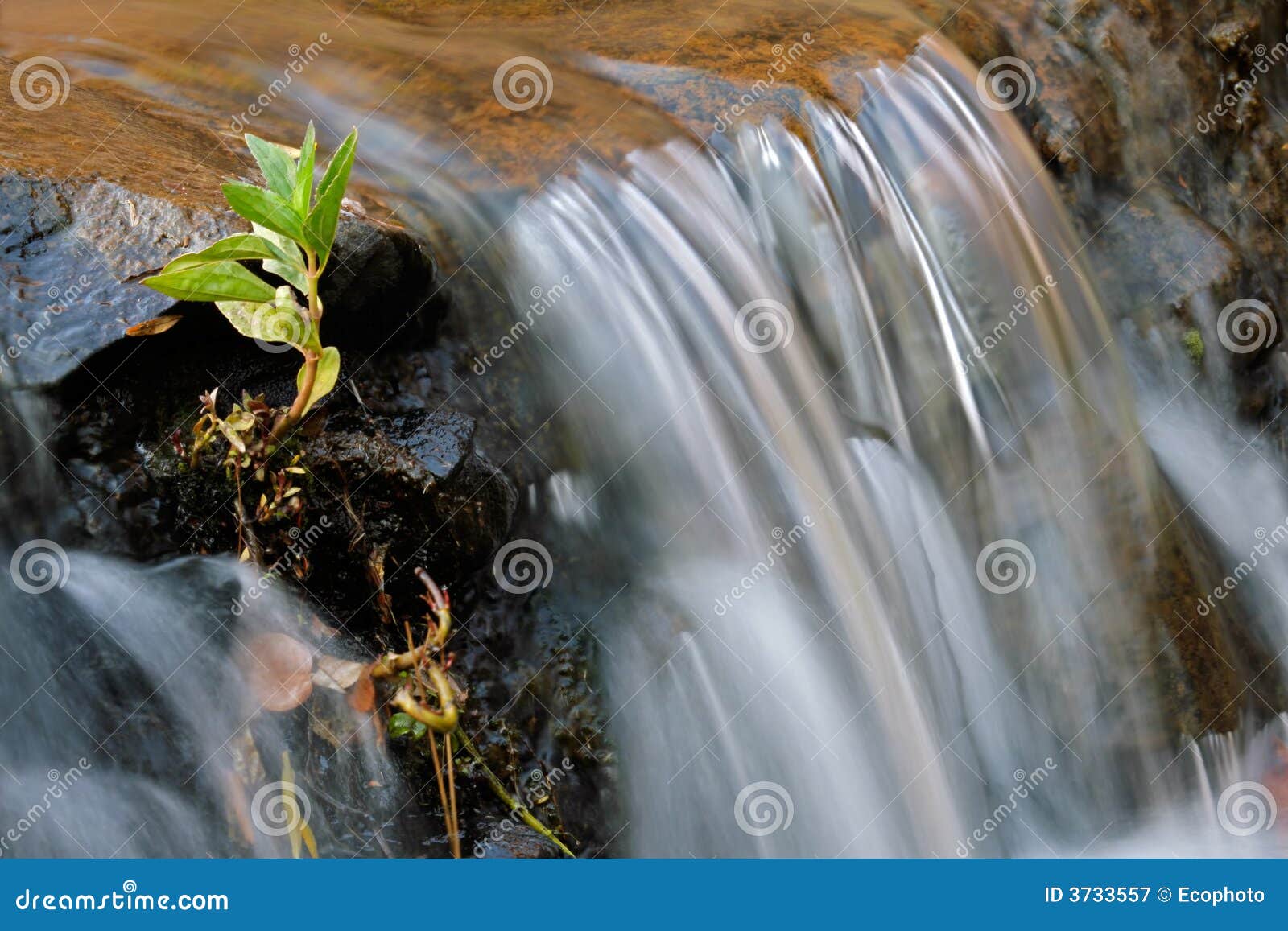 Stromend water stock afbeelding. Image of sereen, dageraad - 3733557
