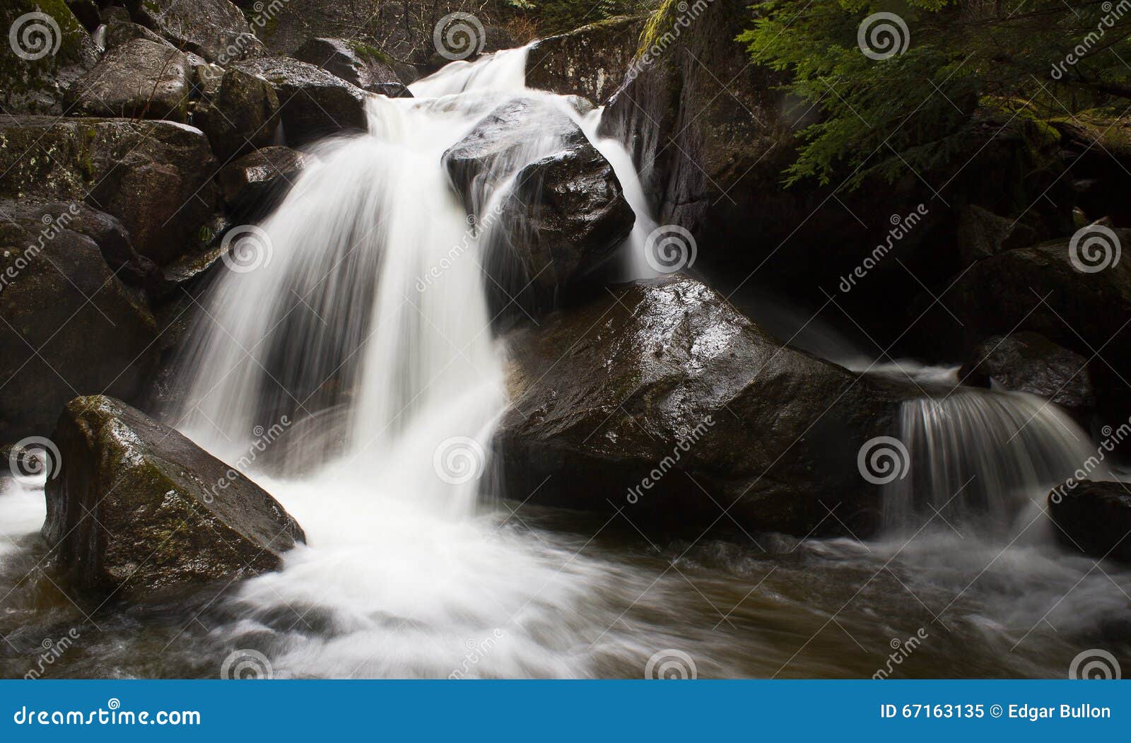 Stromend Waterstroom in Het Bos Stock Afbeelding - Image of stroom ...