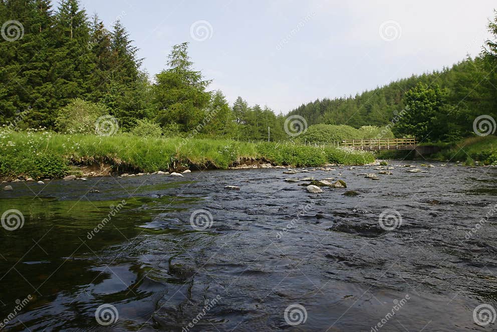 Stromende Rivier stock foto. Image of park, water, bomen - 9712530