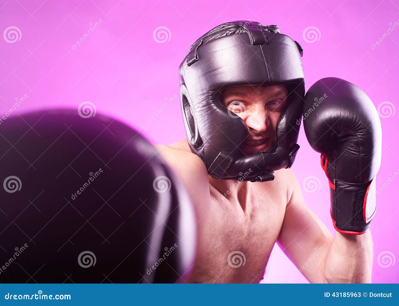 Strong aggressive boxer stock image. Image of challenge - 43185963