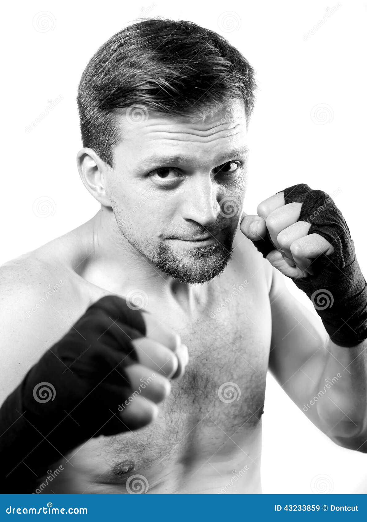 Strong aggressive boxer stock image. Image of looking - 43233859