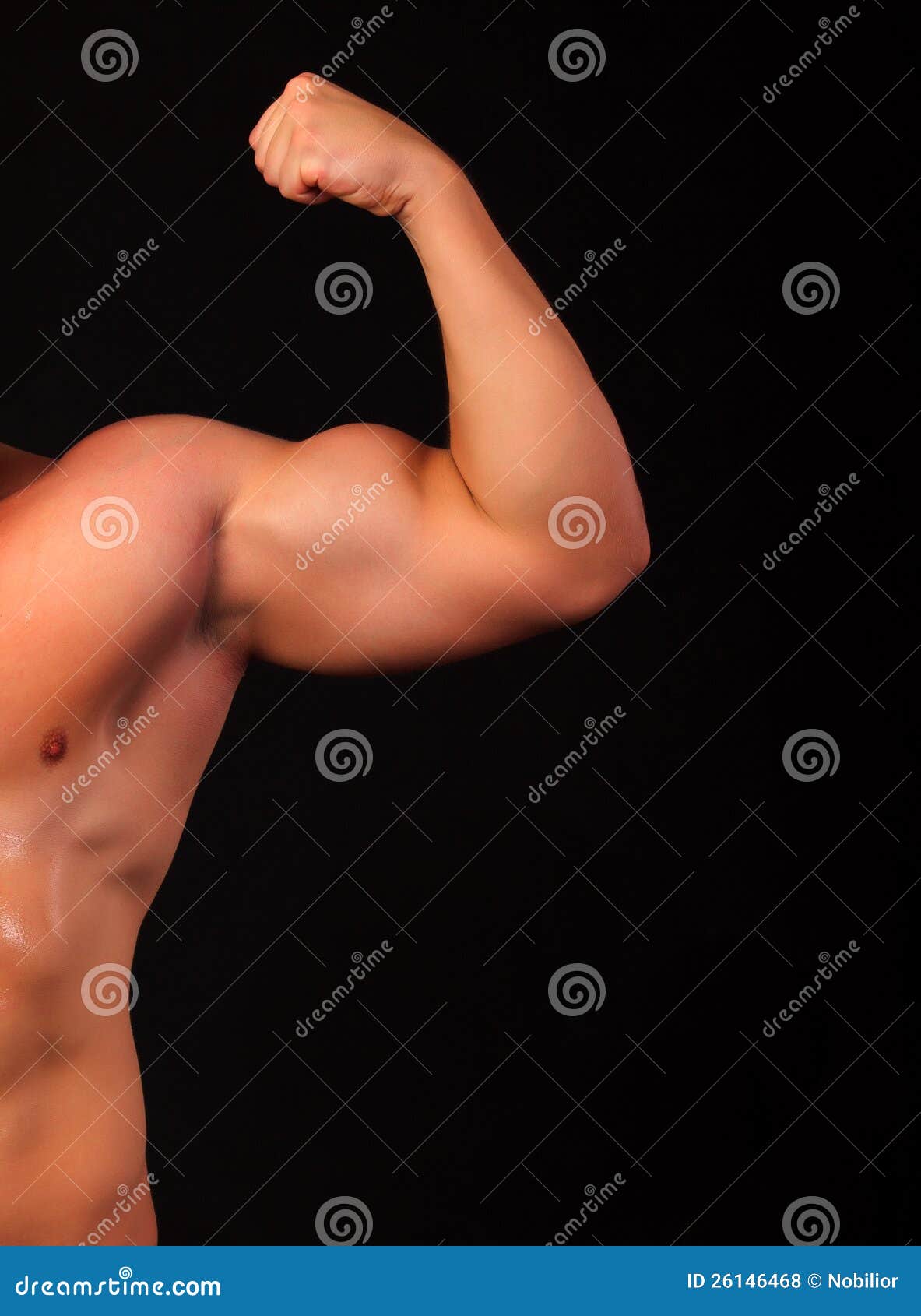 Strong arm of an athlete stock photo. Image of male, biceps - 26146468