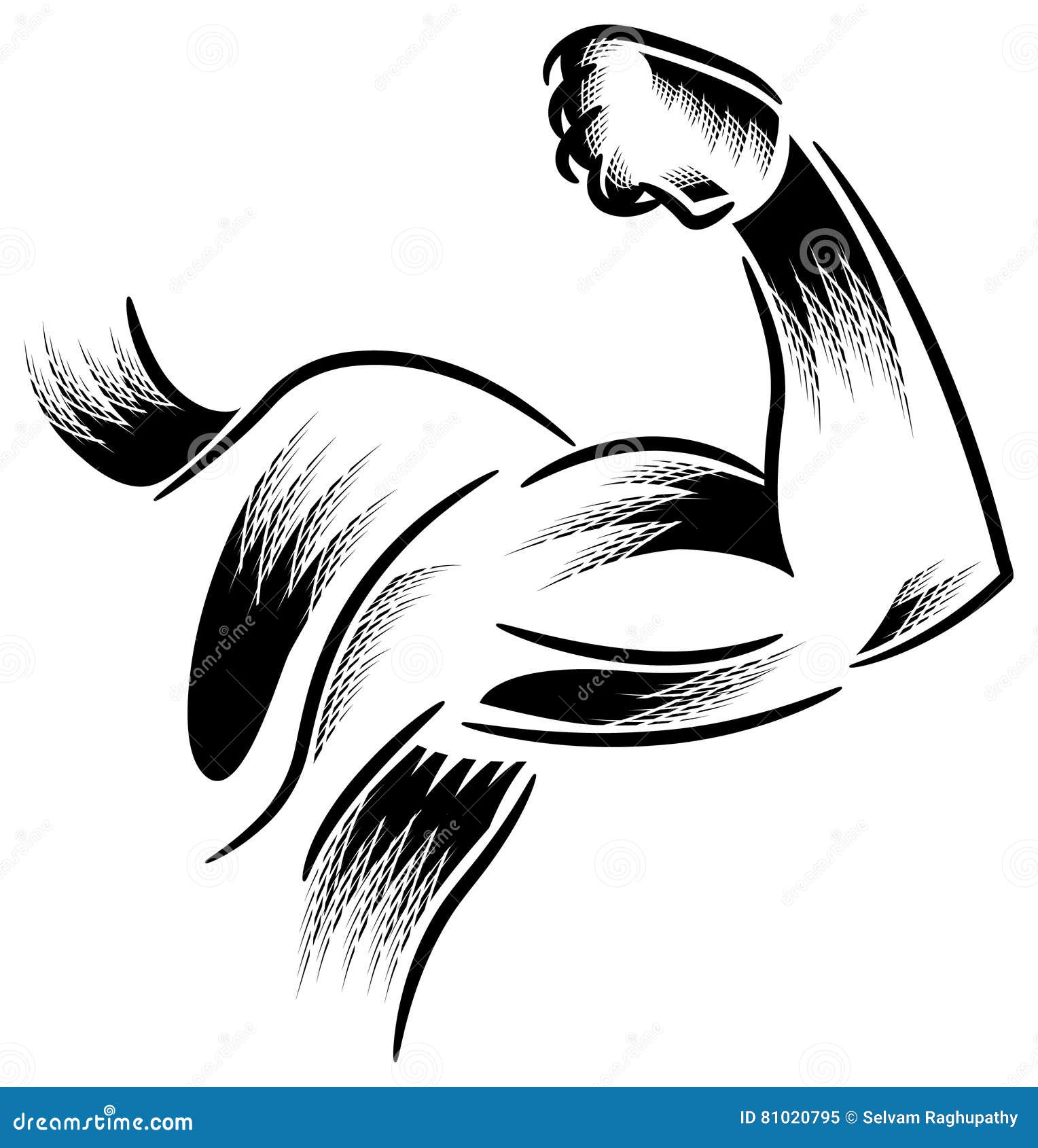 Strong arm stock vector. Illustration of lifestyle, bodybuilder - 81020795