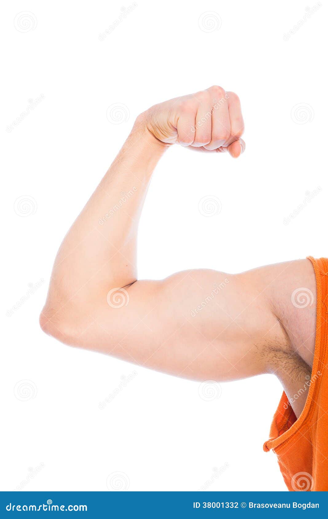 Strong arm on white stock photo. Image of muscle, healthy - 38001332