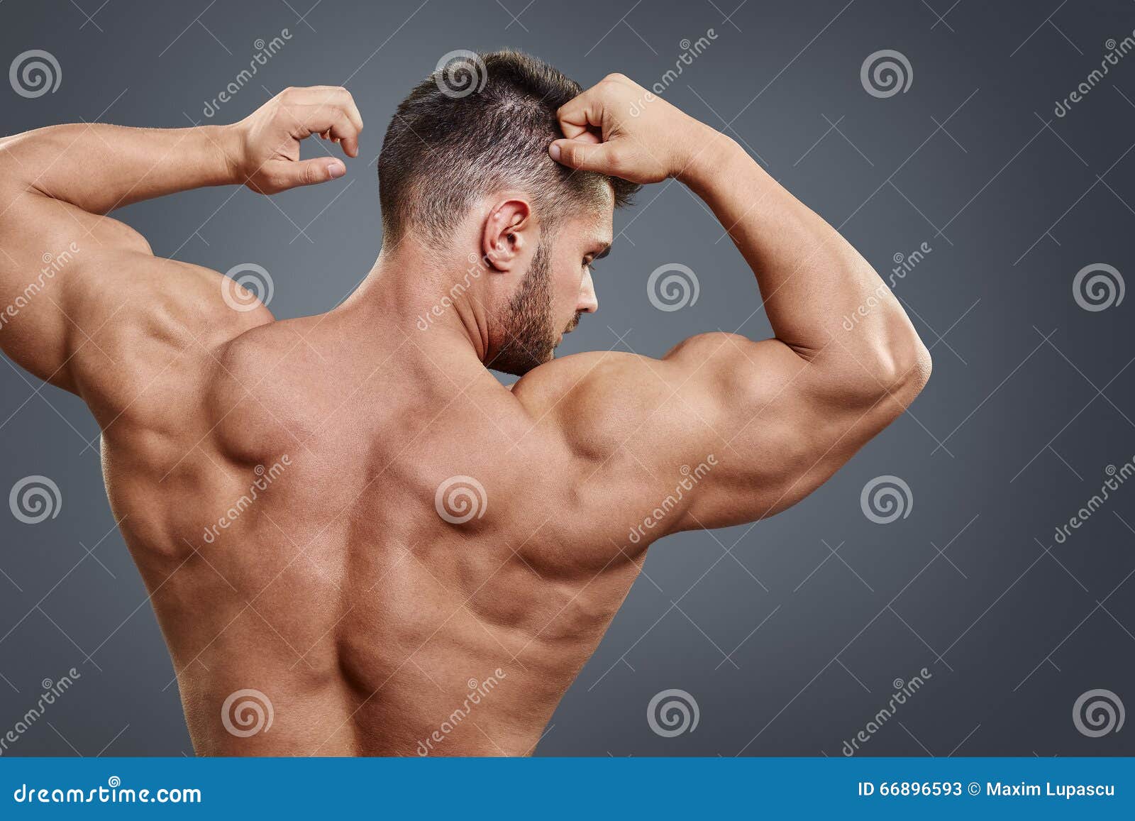 Strong Athletic Man Back on Grey Background Stock Image - Image of ...
