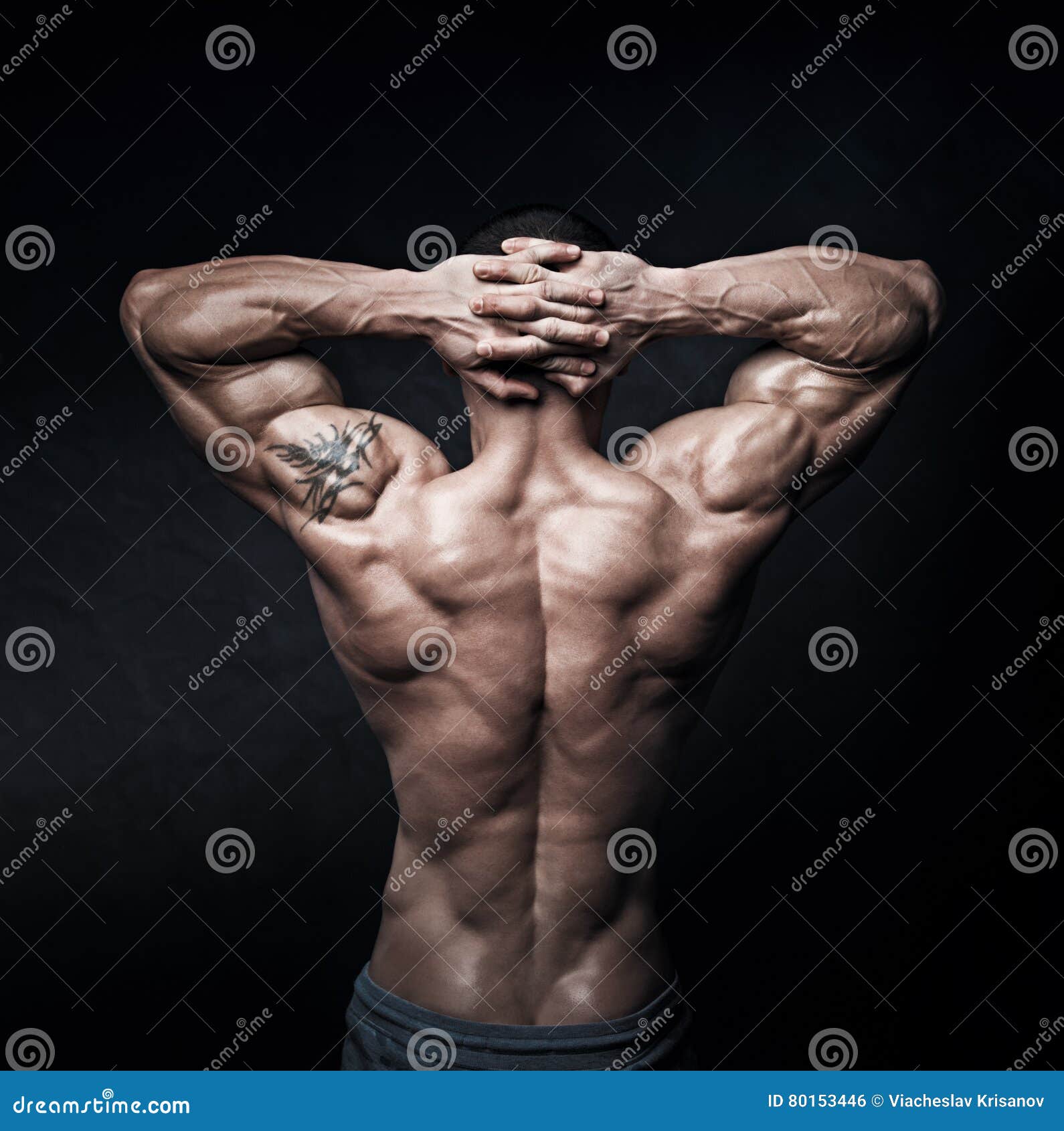 Strong Athletic Mans Back on Dark Background Stock Photo - Image of ...