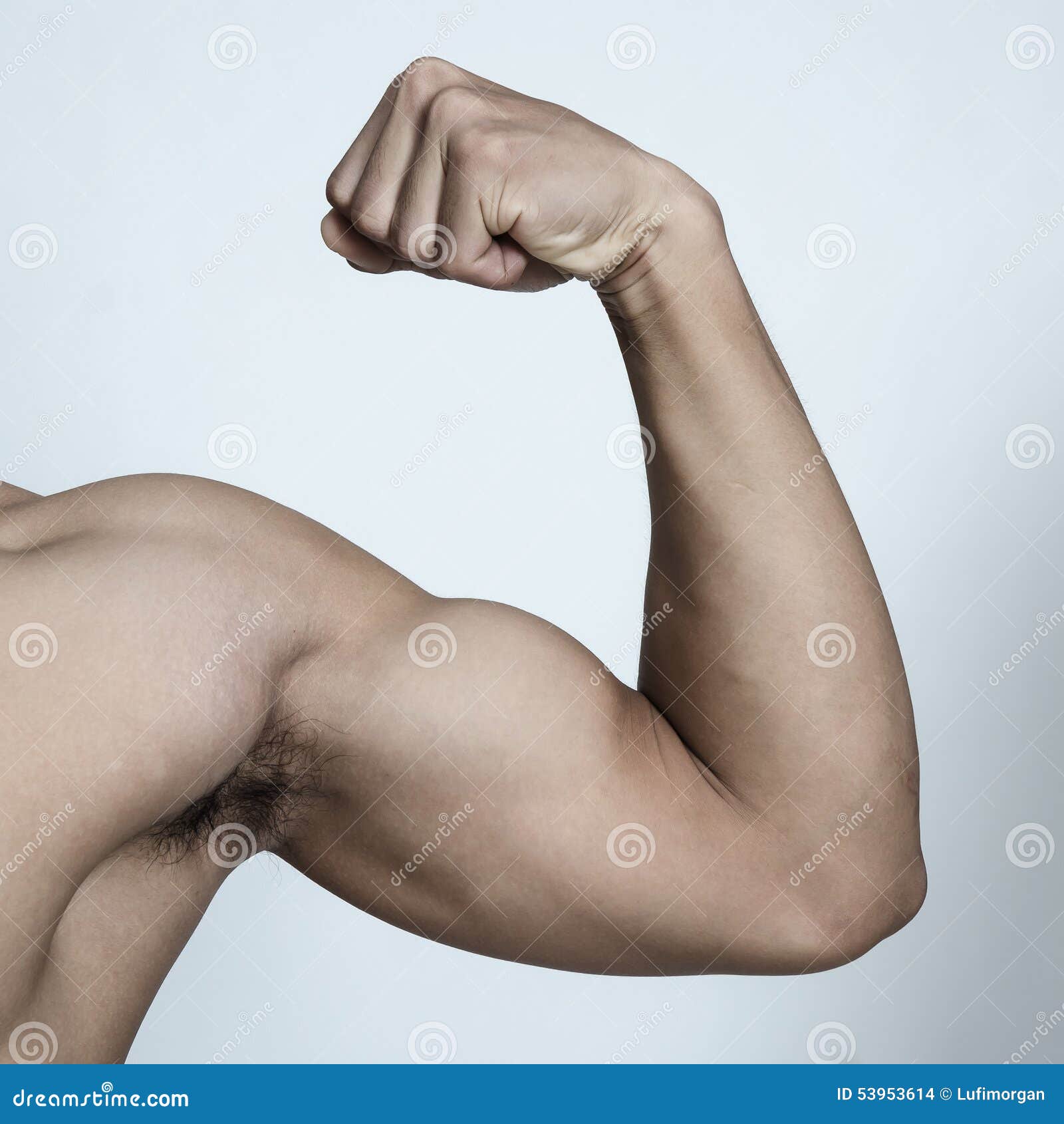 Strong biceps stock photo. Image of healthy, health, adult - 53953614