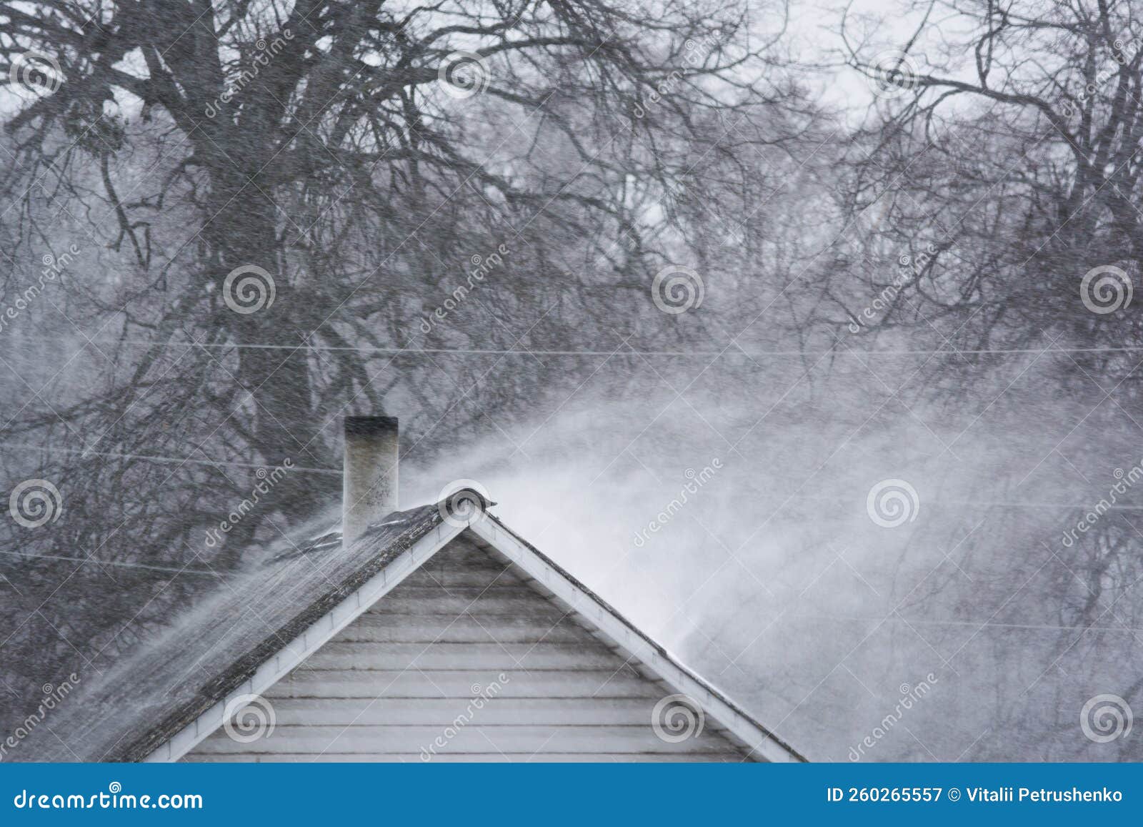 Blizzard Blows Snow from Roof Stock Image - Image of weather, forest ...