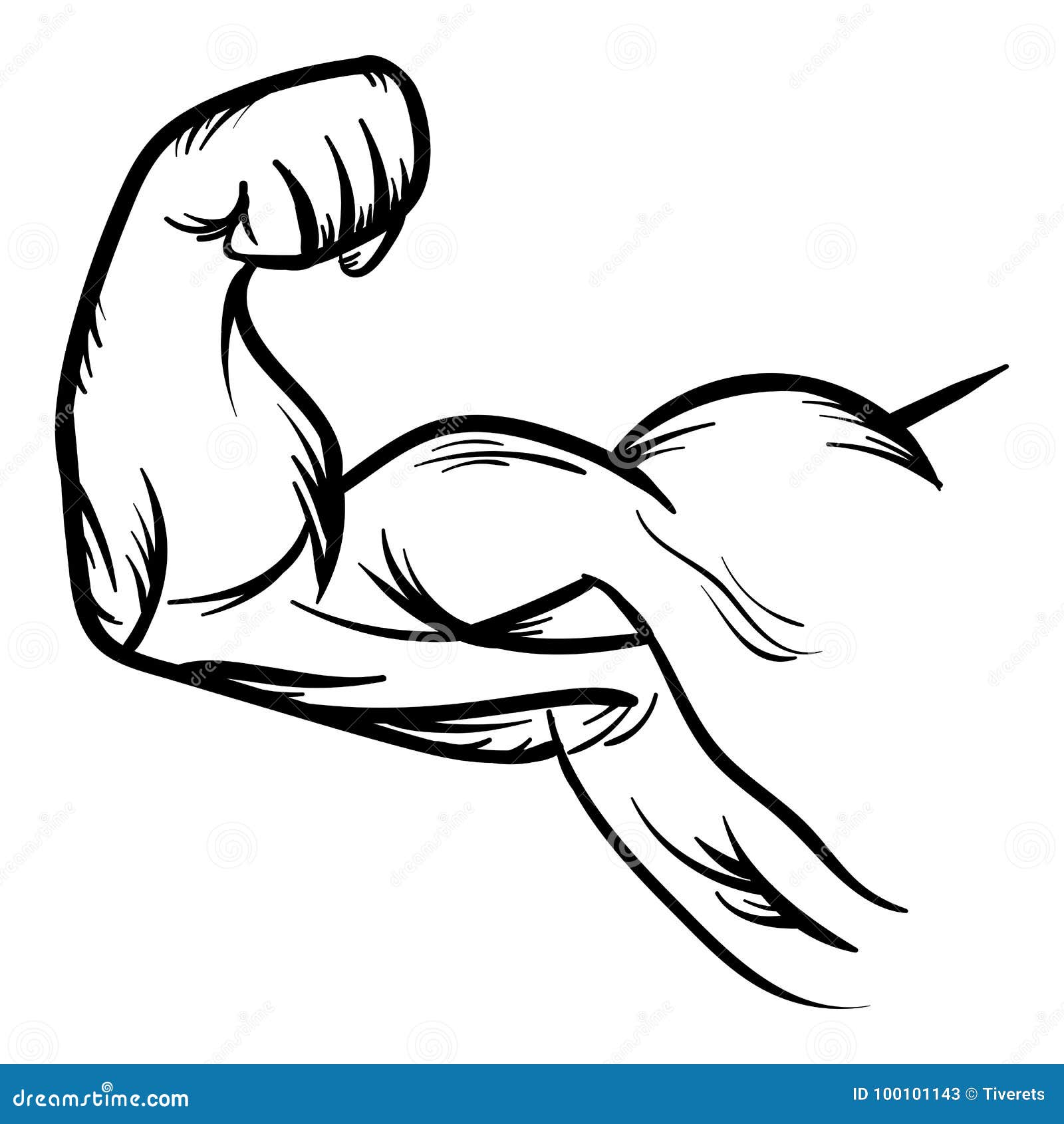 Biceps Flex Arm. Muscular Bodybuilder Pose. Vector Illustration ...