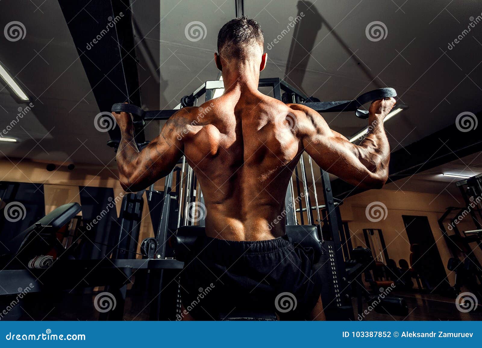 Strong Bodybuilder Doing Heavy Weight Exercise for Back Stock Photo ...