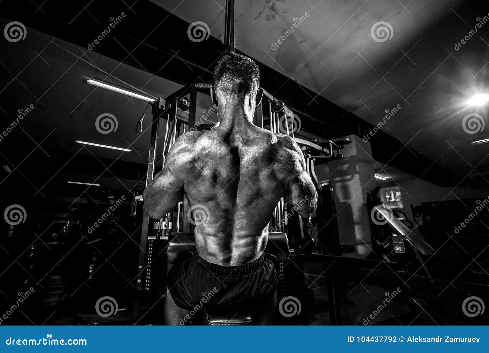 Strong Bodybuilder Doing Heavy Weight Exercise for Back Stock Photo ...