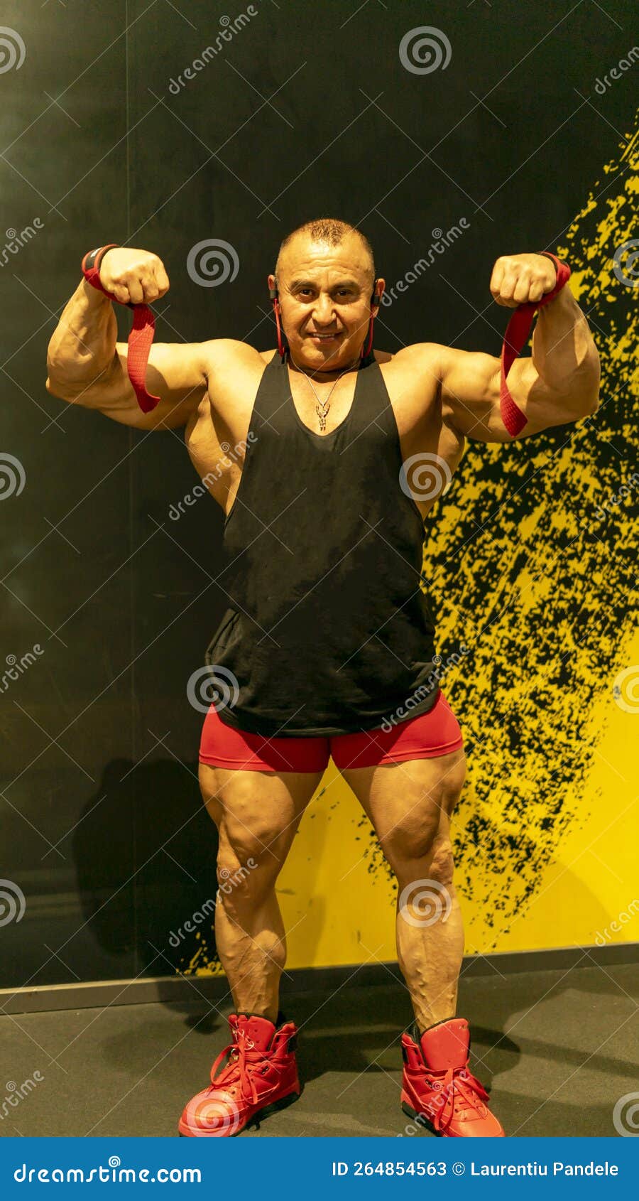 Strong Bodybuilder Man Training in Gym in Madrid Stock Image - Image of ...