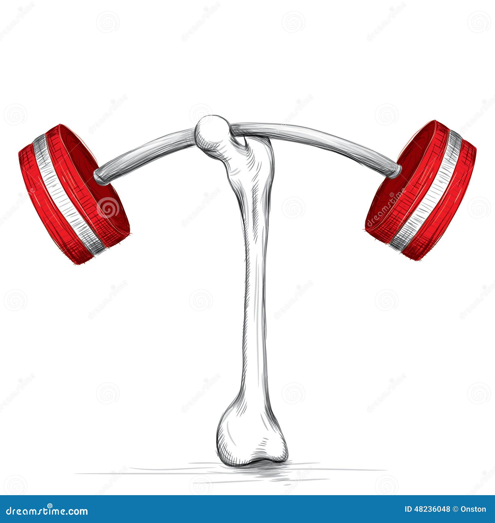 Strong Bone stock vector. Illustration of dumb, anatomical - 48236048