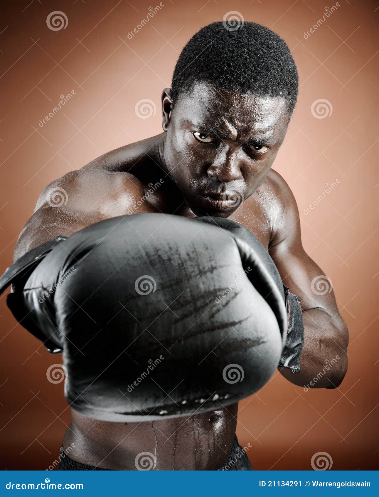 Strong boxer stock image. Image of exercise, chest, defined - 21134291