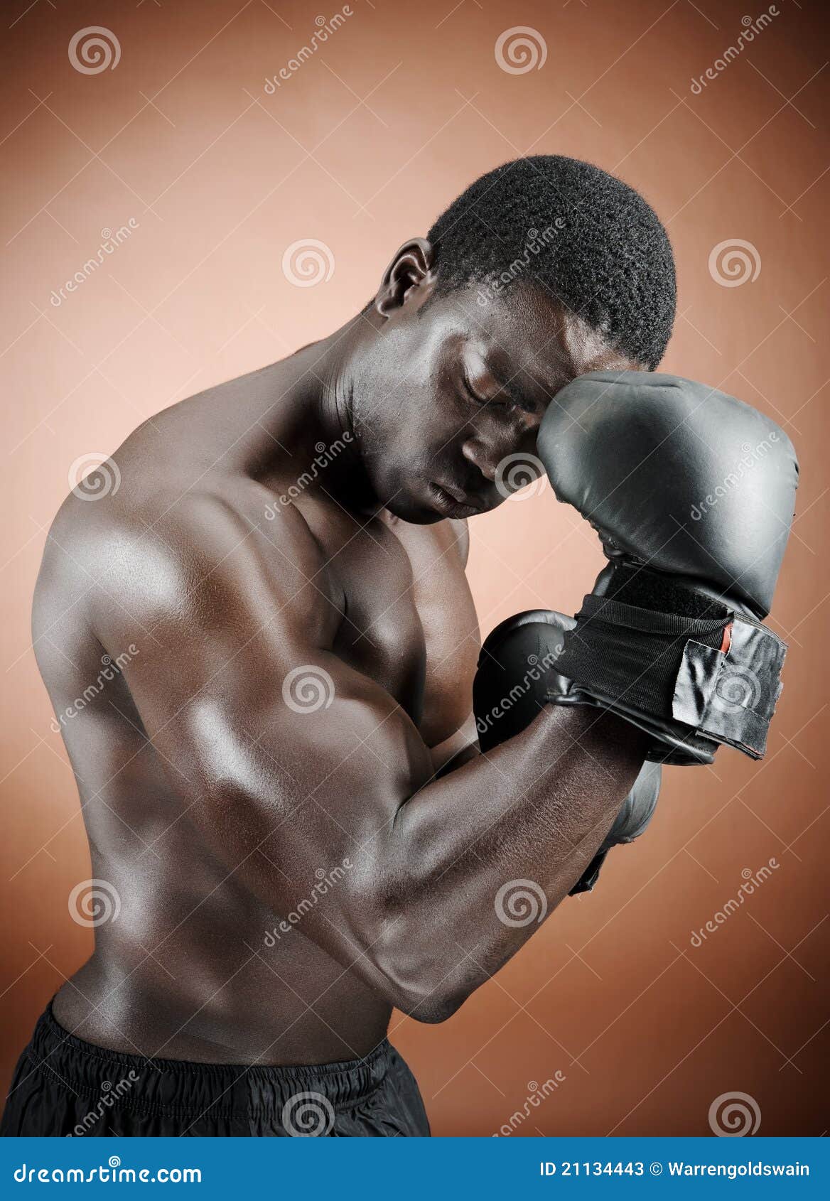 Strong boxer stock image. Image of masculinity, defined - 21134443