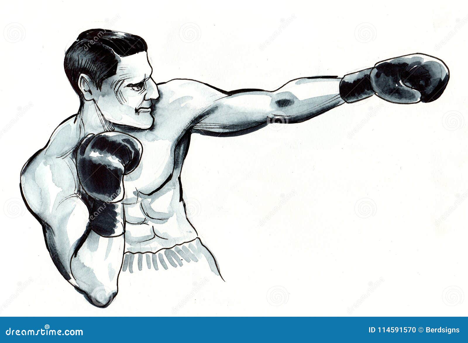 Strong boxer stock illustration. Illustration of drawing - 114591570