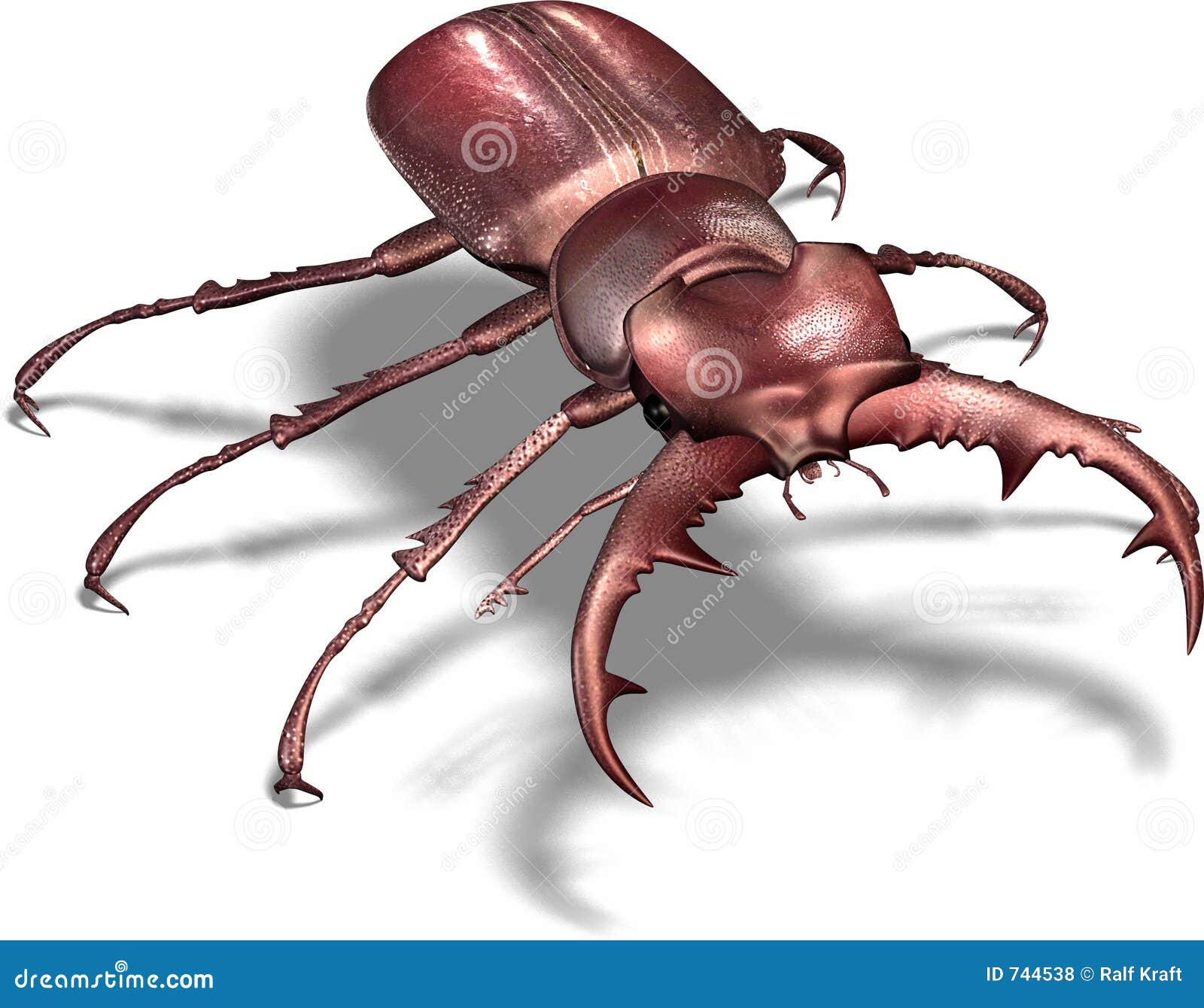 Strong bug stock illustration. Illustration of legs, insect - 744538