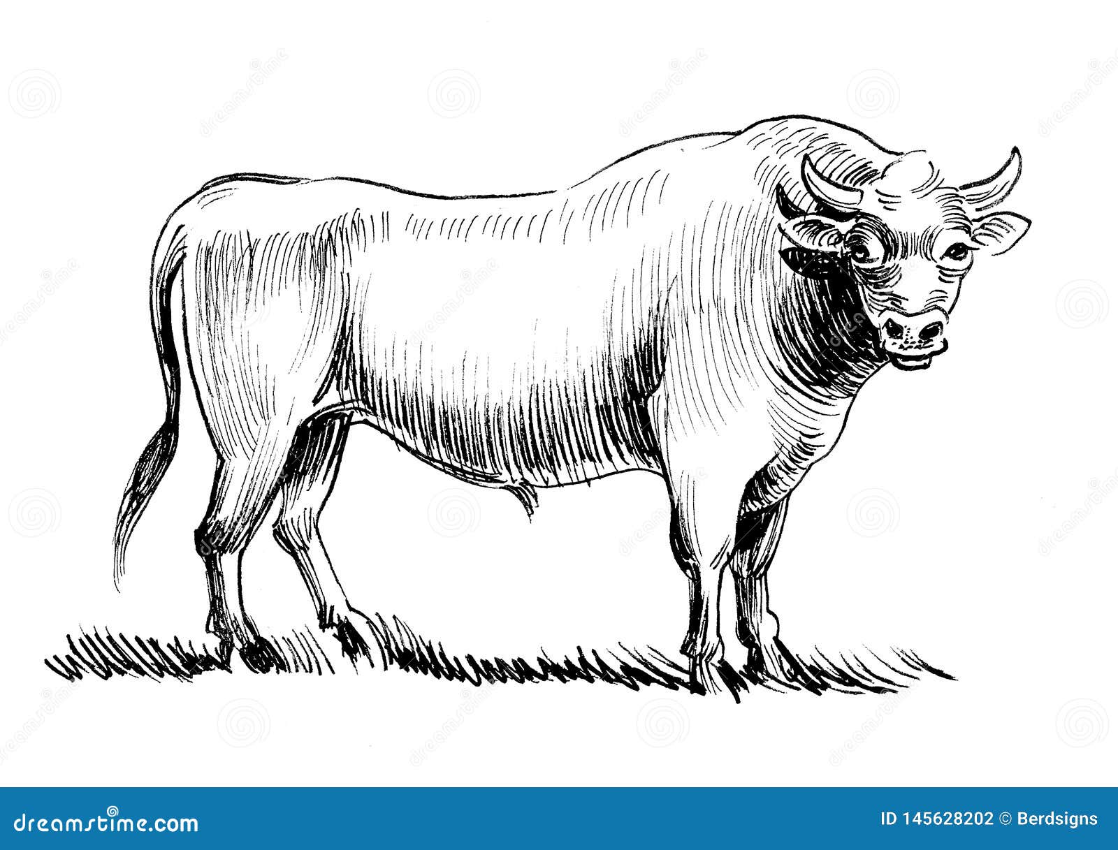 Strong bull stock illustration. Illustration of bull - 145628202