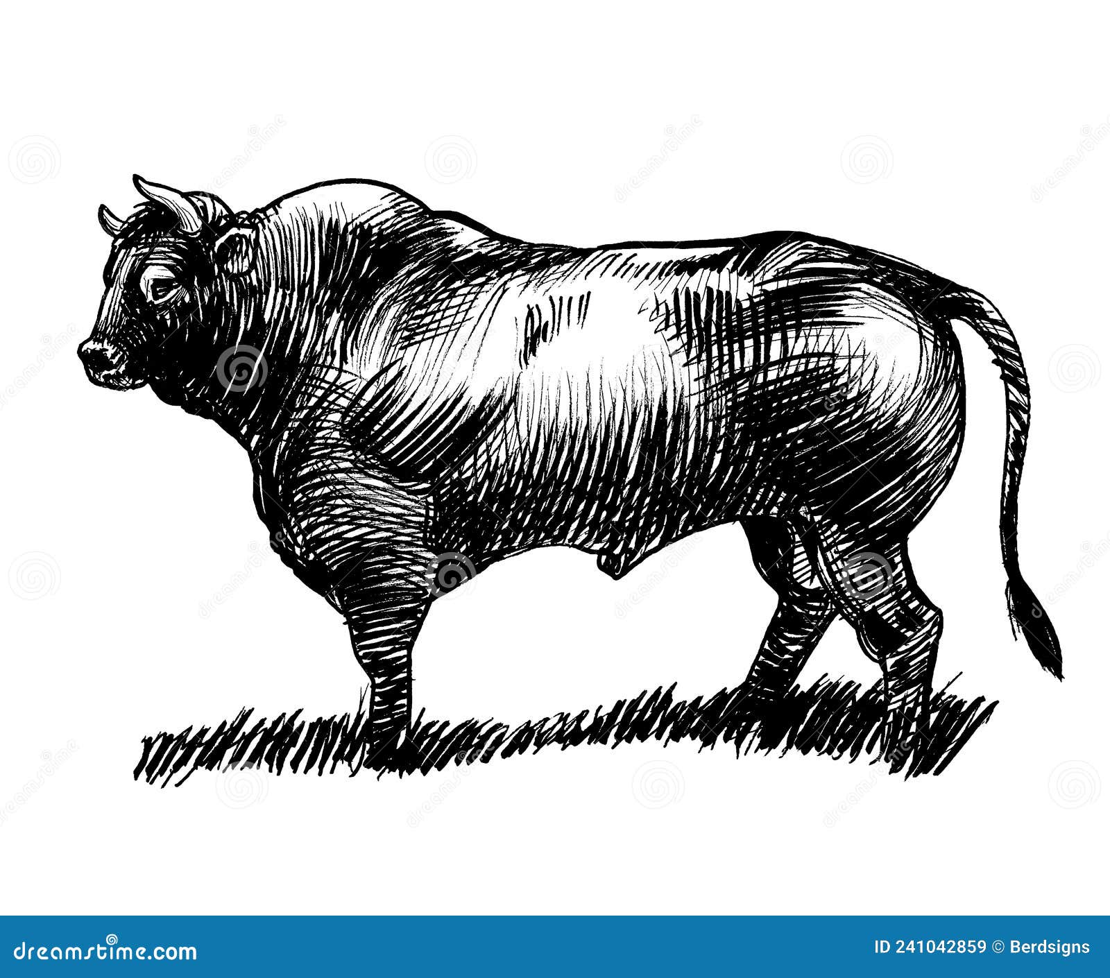 Strong bull stock illustration. Illustration of horned - 241042859
