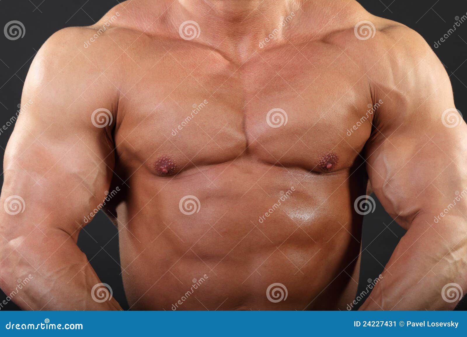 Strong Chest and Hand Muscles of Bodybuilder Stock Image - Image of ...