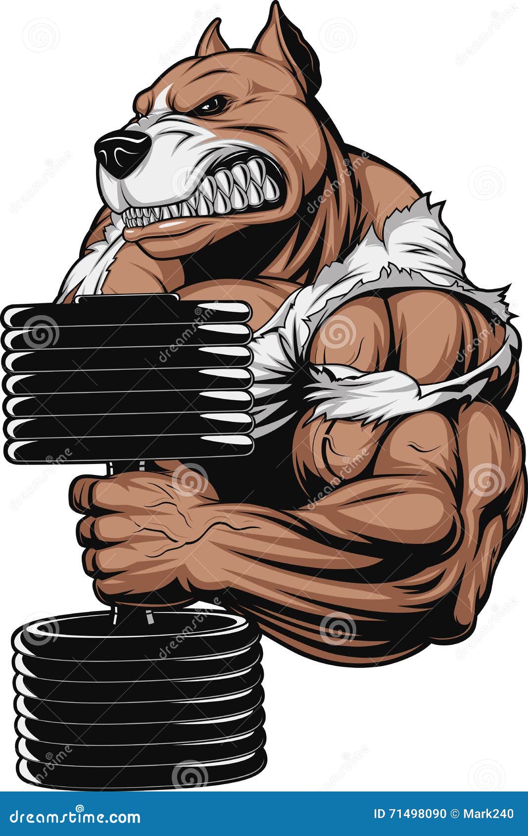 Strong Pitbull Bodybuilder Cartoon Vector | CartoonDealer.com #72110573