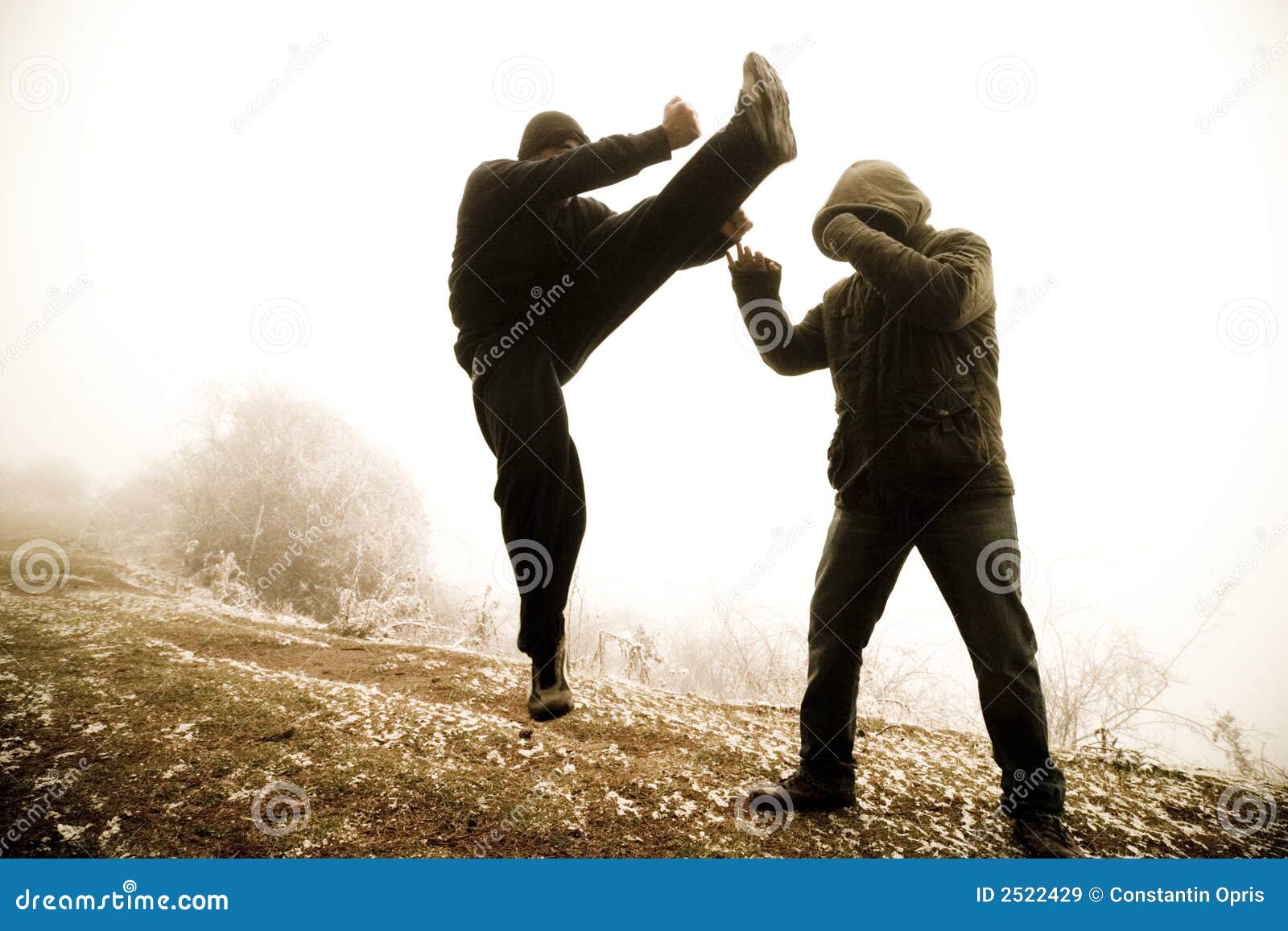 Strong fight stock image. Image of pair, fight, active - 2522429