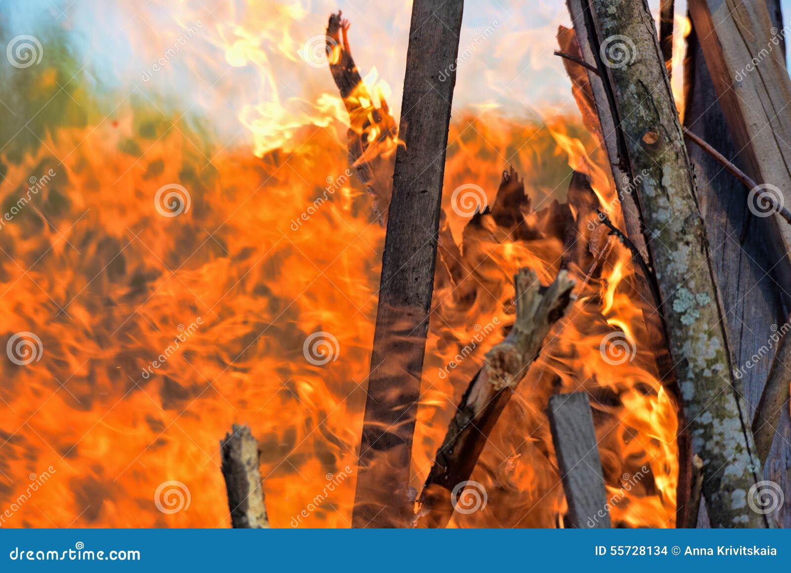 Strong fire flames stock photo. Image of education, coal - 55728134