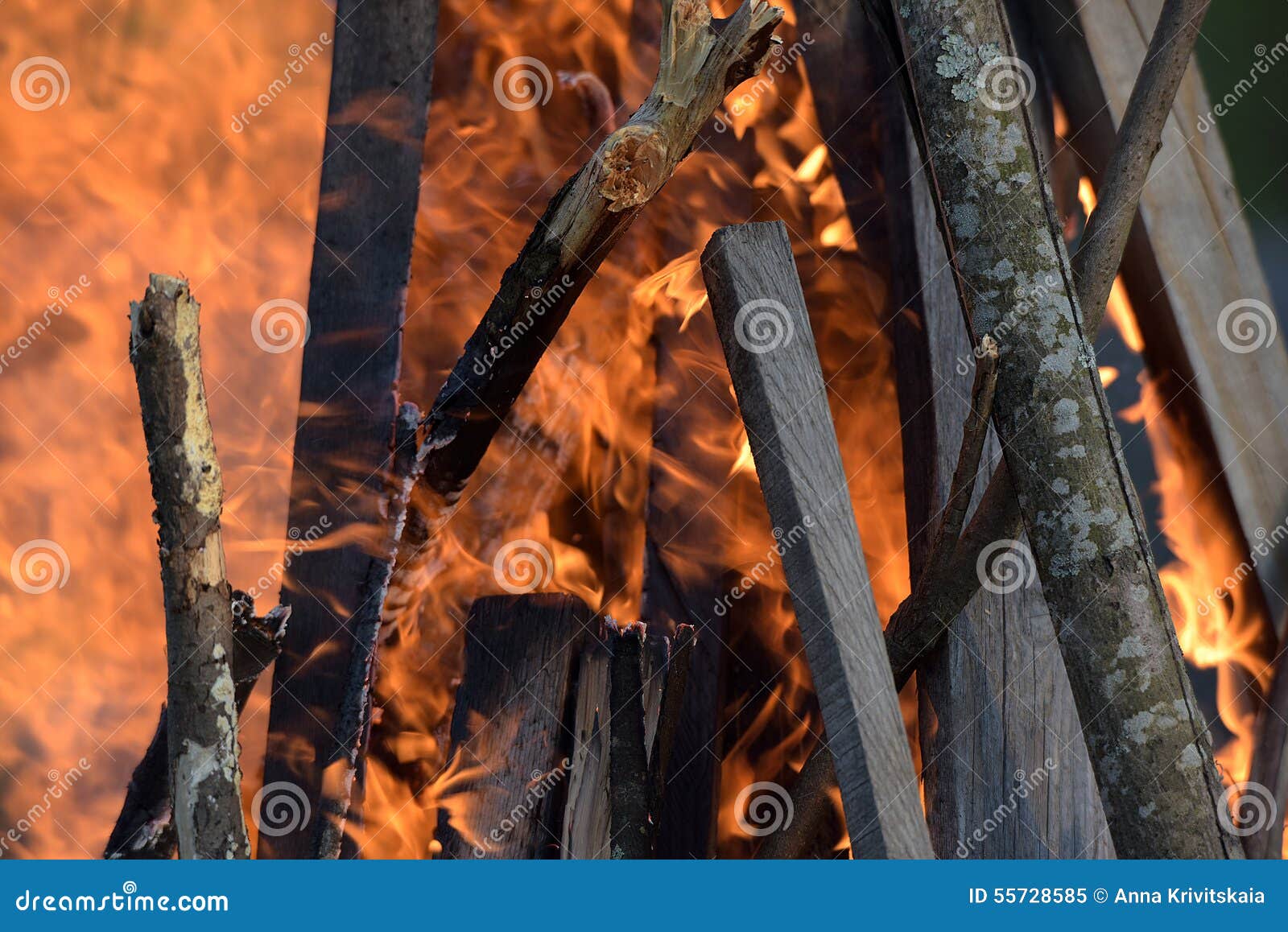 Strong fire flames stock image. Image of campfire, burning - 55728585