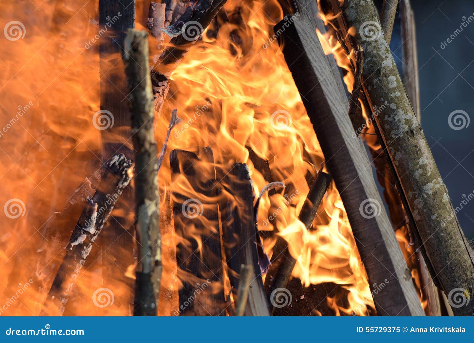 Strong fire flames stock image. Image of circle, chestnuts - 55729375