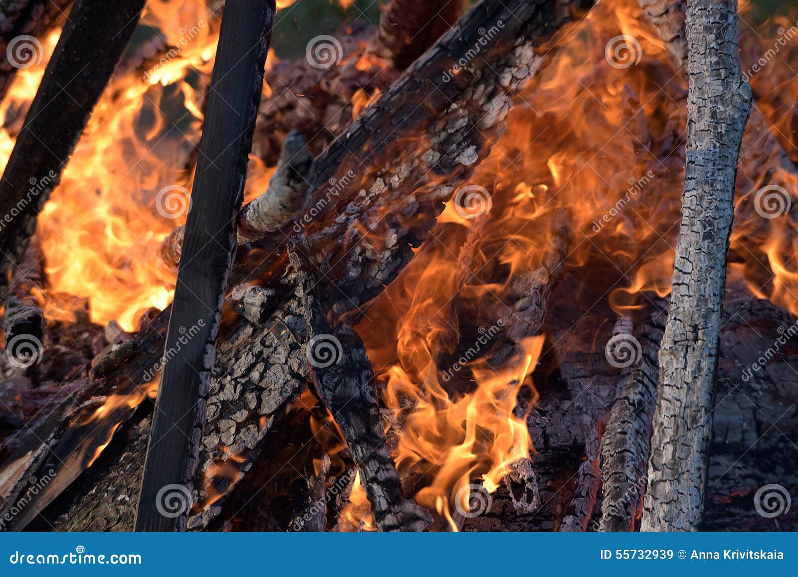 Strong fire flames stock image. Image of flames, campfire - 55732939
