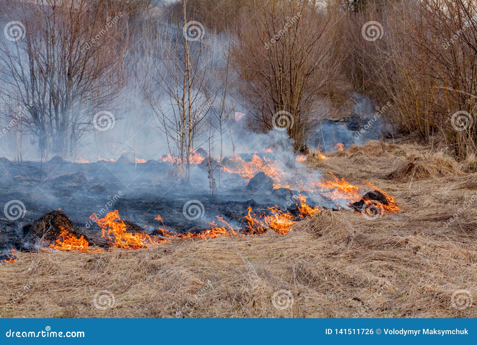 A Strong Fire Spreads in Gusts of Wind through Dry Grass, Smoking Dry ...