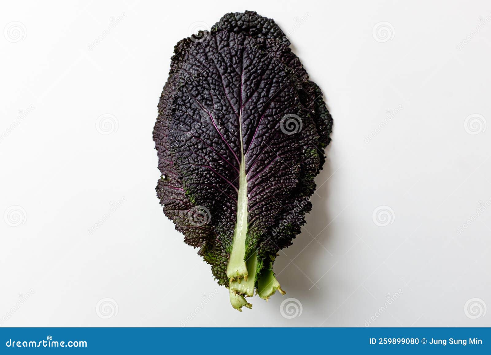 Red Mustard Leaves on a White Background Stock Photo - Image of ...