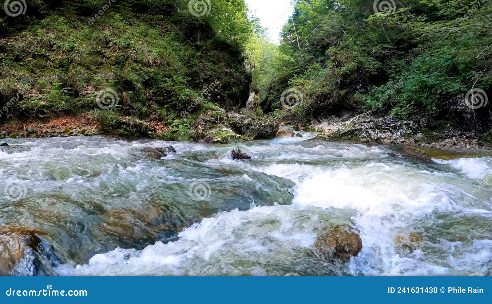 Strong Flowing Streams on Sources Stock Photo - Image of environment ...