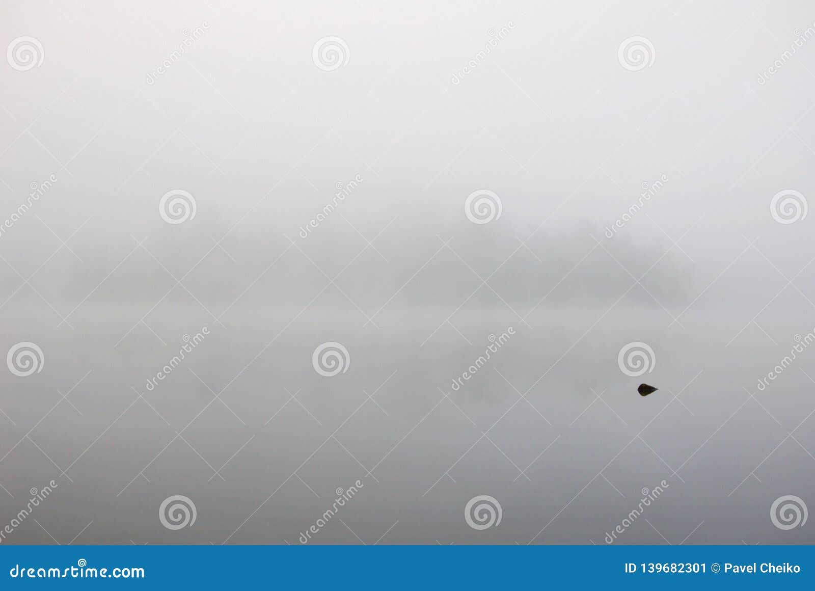 Strong fog stock image. Image of foggy, lake, sunrise - 139682301