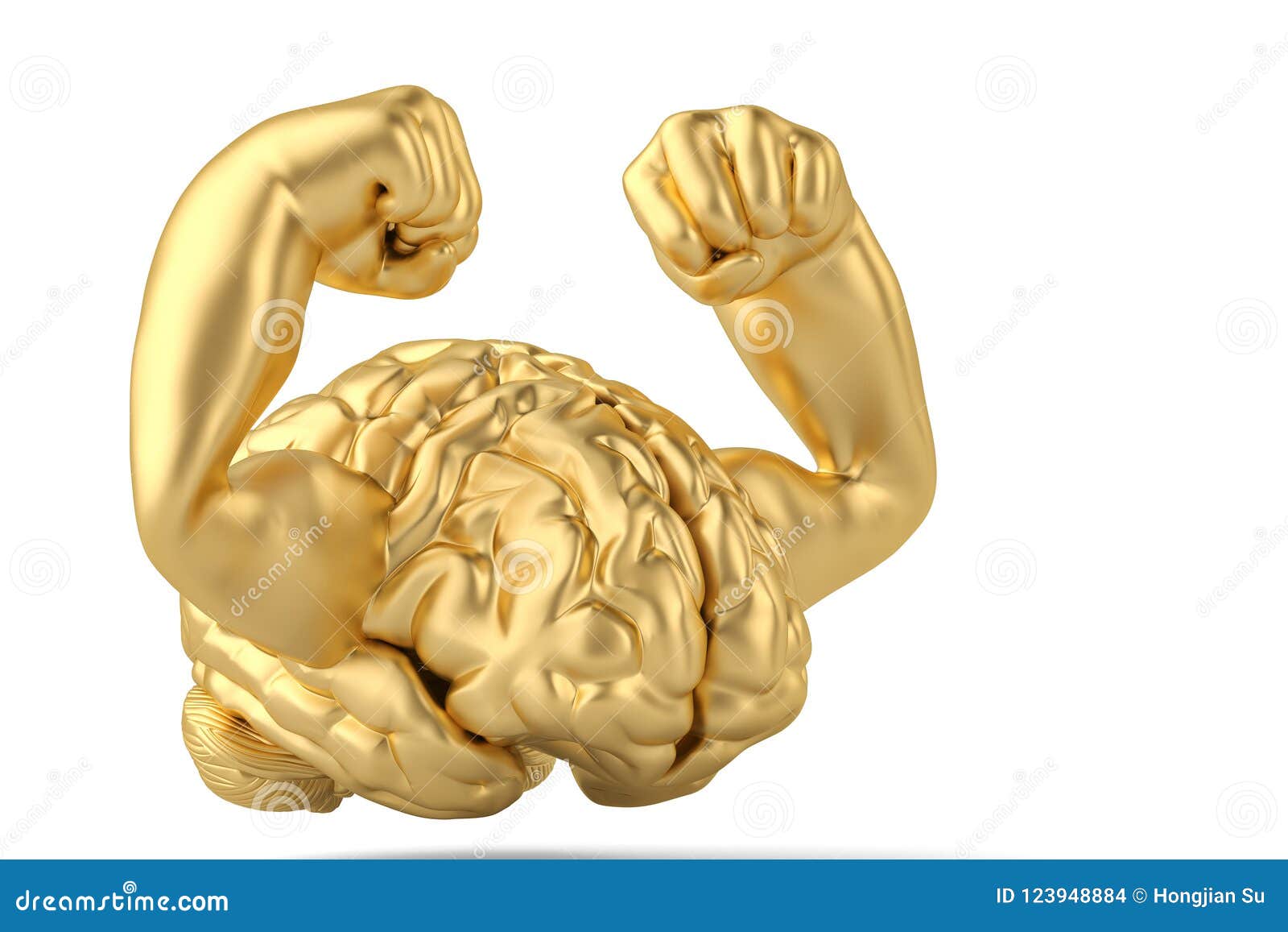 Brain And Muscle Strong Brain Isolated On White Background. 3D I Stock ...