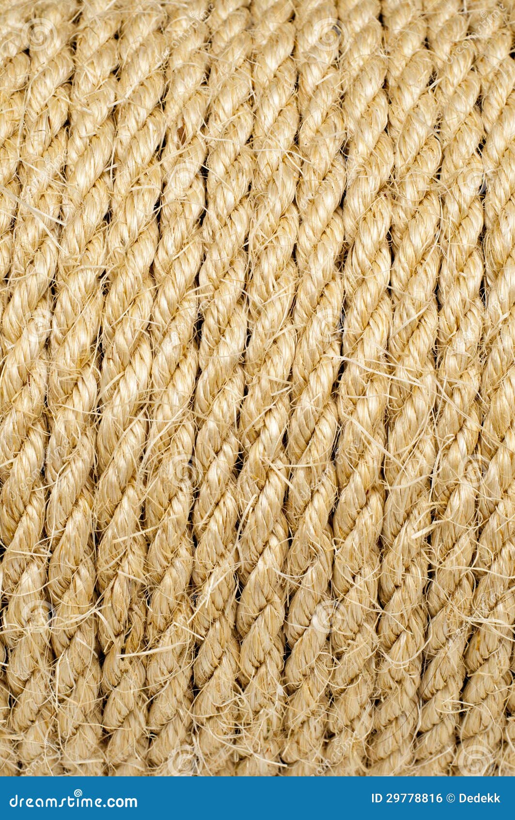 Rope texture stock photo. Image of brown, canvas, loop - 29778816