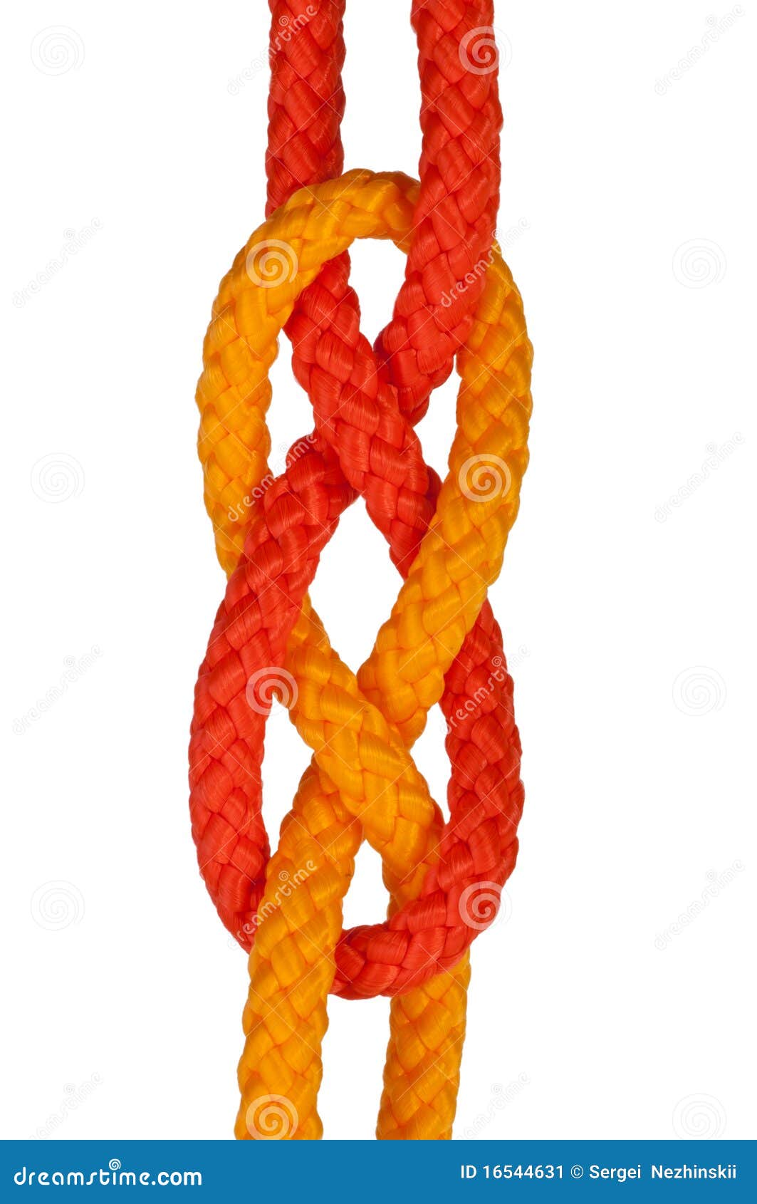 Strong knot stock image. Image of fixation, bend, rope - 16544631