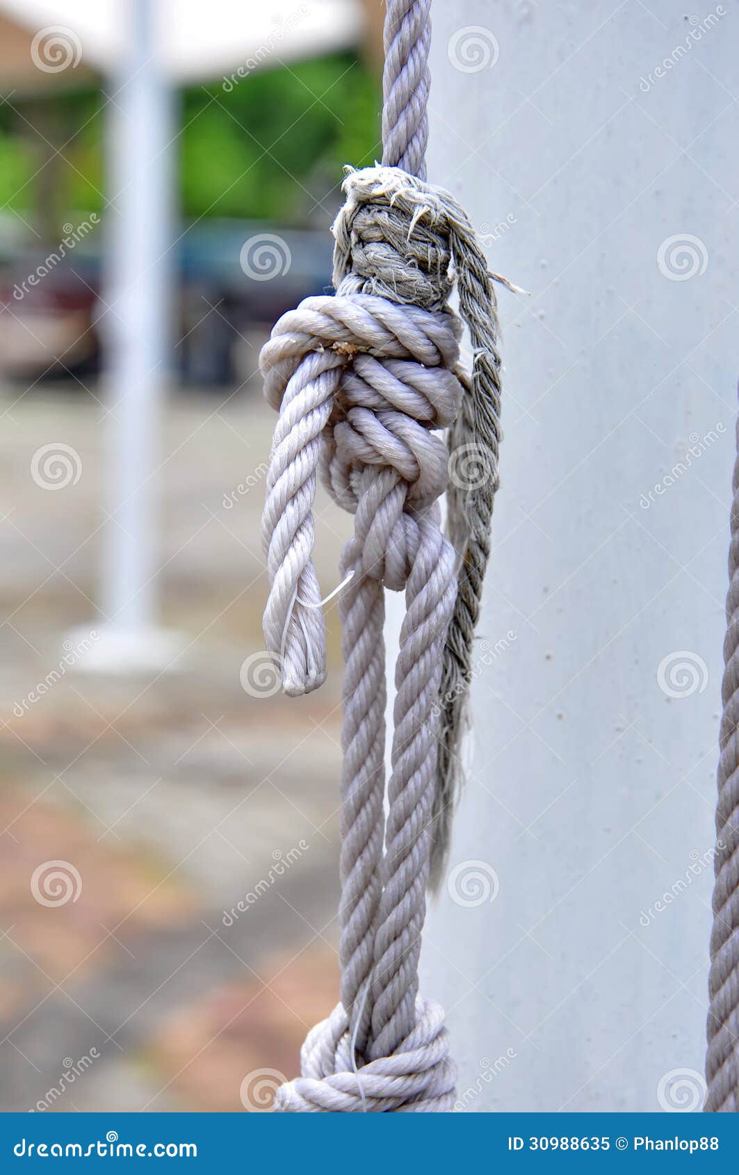 Strong knot stock image. Image of knot, textured, tight - 30988635