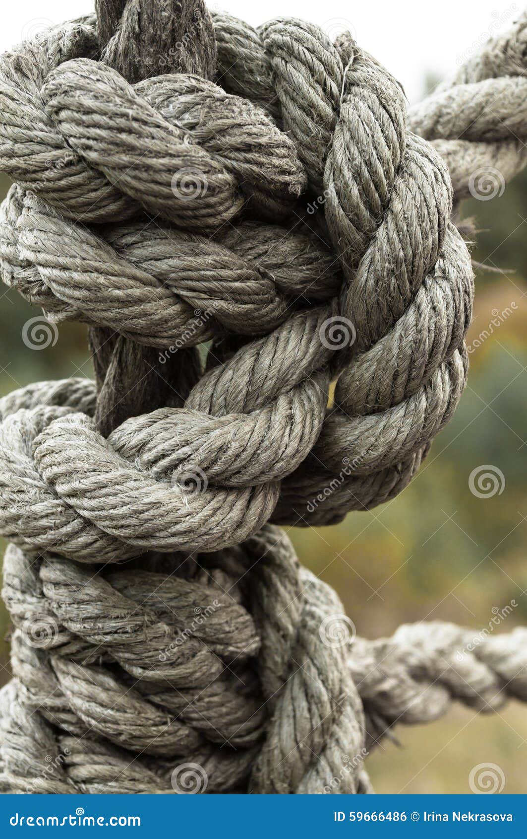 Strong Knot of Time-worn Ship Rope Stock Photo - Image of space, ship ...