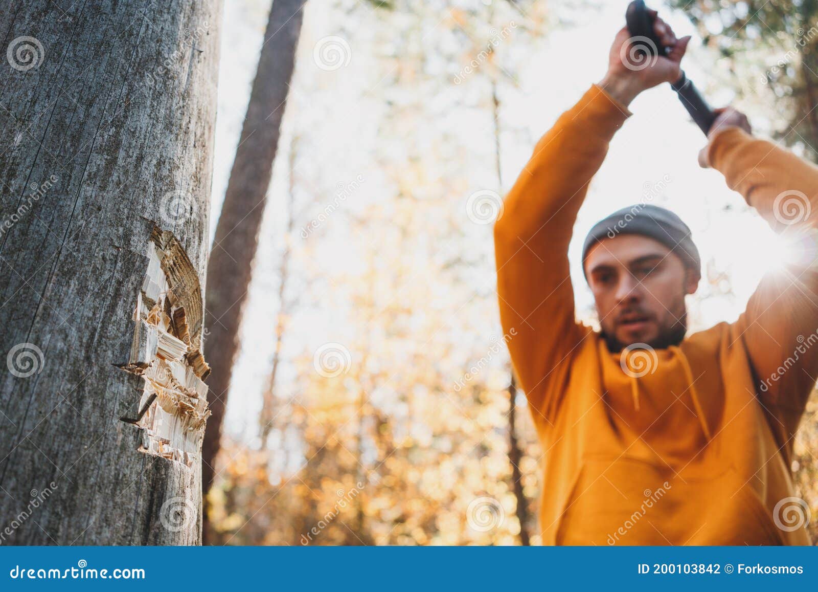 Strong Logger Worker Cuts Tree in Forest Stock Photo - Image of hipster ...