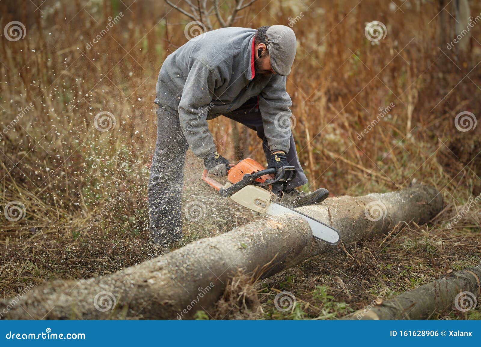 Strong Farmer with Chainsaw Stock Photo - Image of country, farm: 161628906