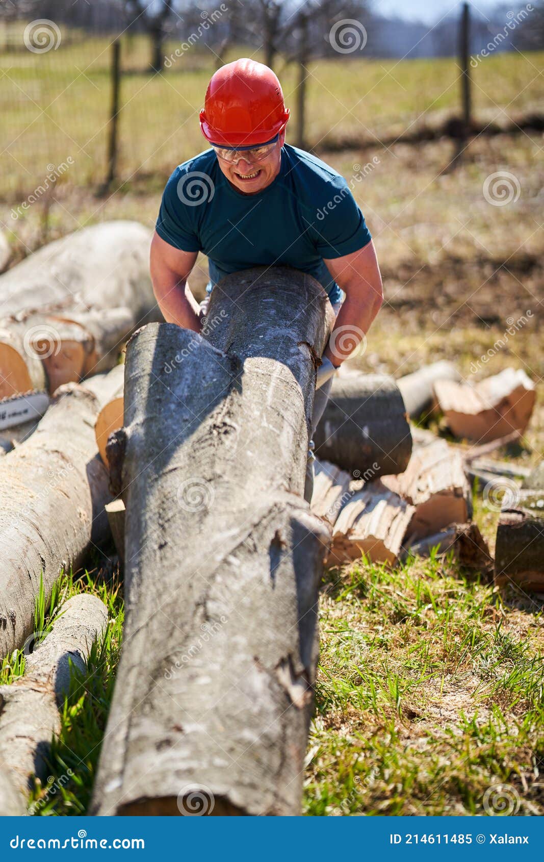 Strong Lumberjack Moving Logs Stock Image - Image of lumberjack, moving ...