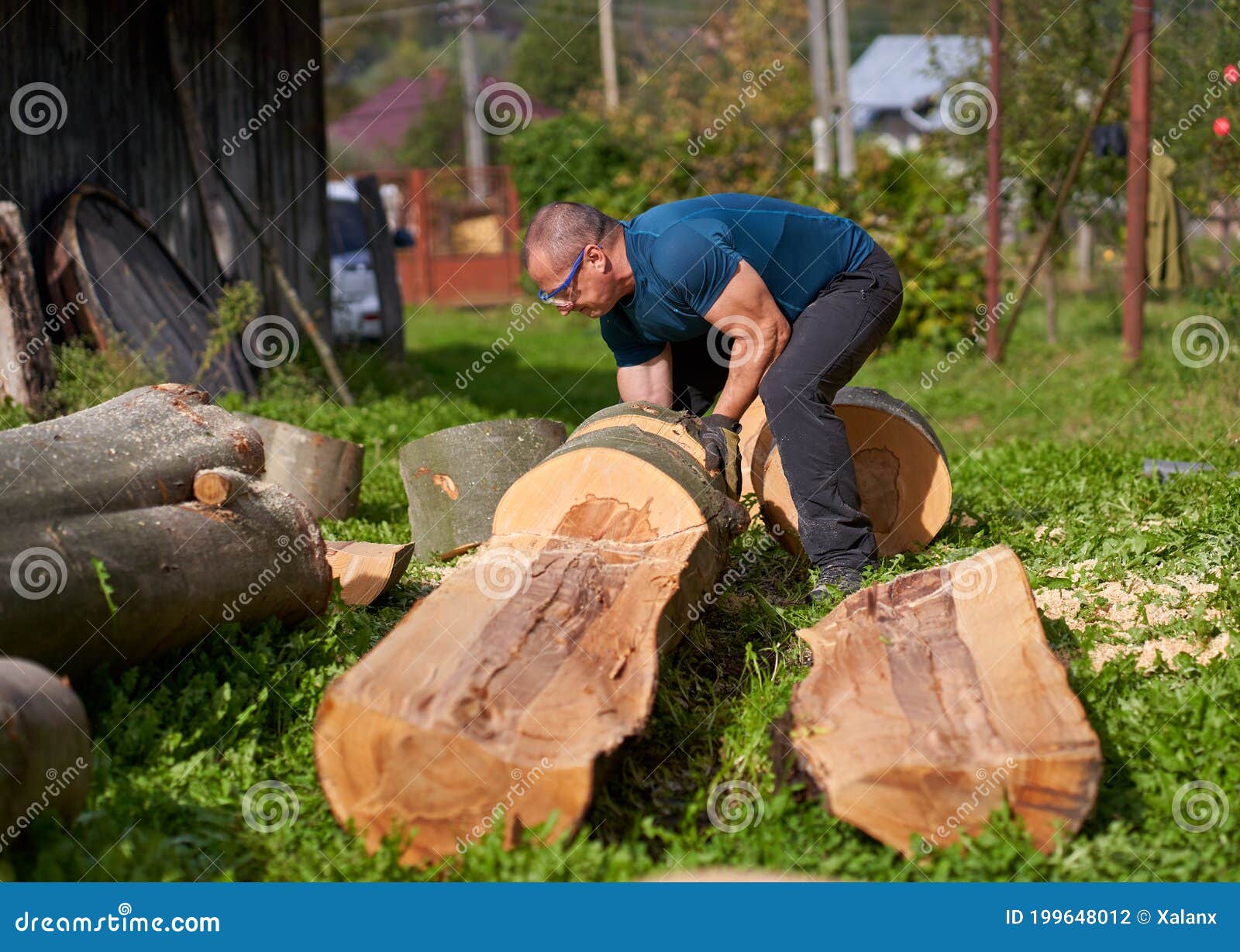 Strong Lumberjack Handling the Logs Stock Photo - Image of natural ...