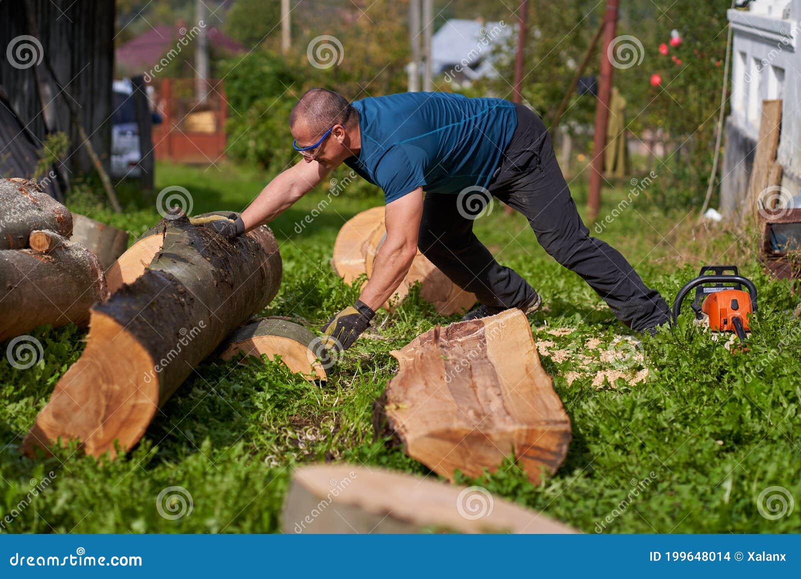 Strong Lumberjack Handling the Logs Stock Photo - Image of outdoors ...