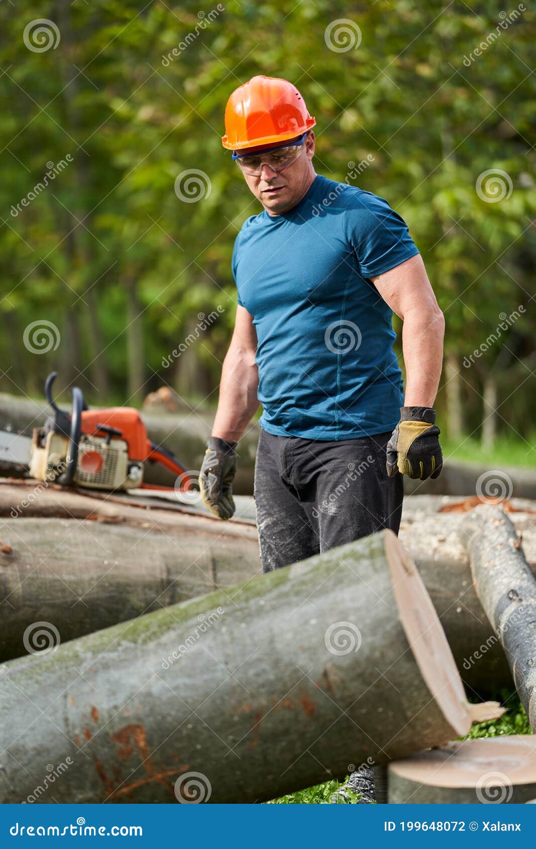 Strong Lumberjack Handling the Logs Stock Photo - Image of chop, strong ...