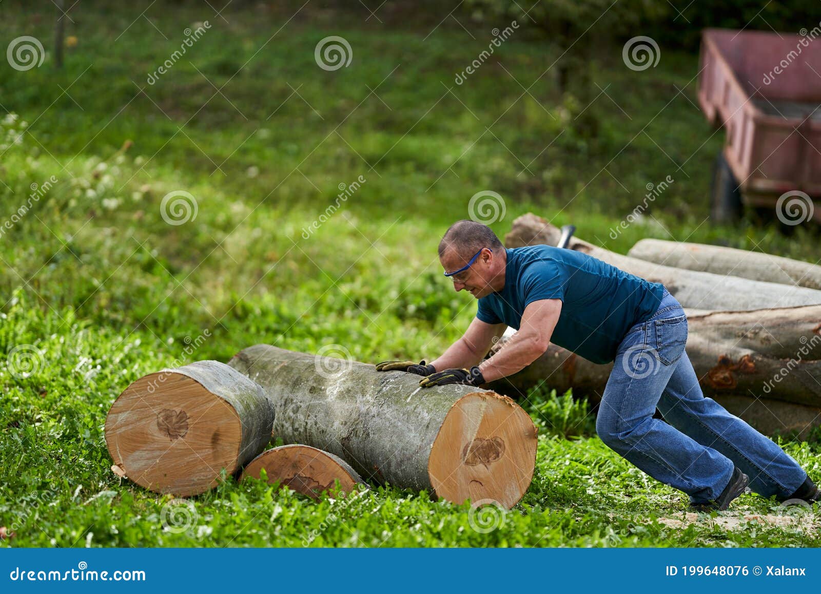 Strong Lumberjack Handling the Logs Stock Photo - Image of strong, tree ...