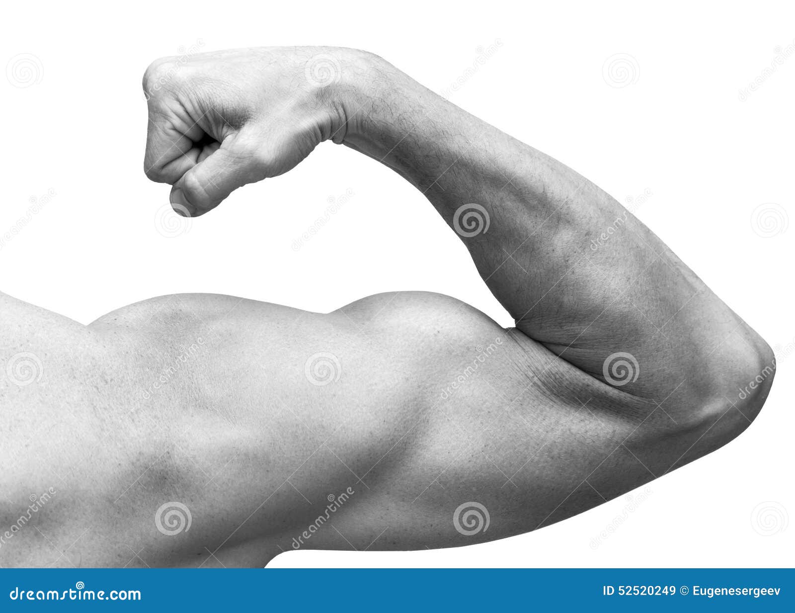 Strong Male Arm Shows Biceps. Close-up Black and White Stock Image ...