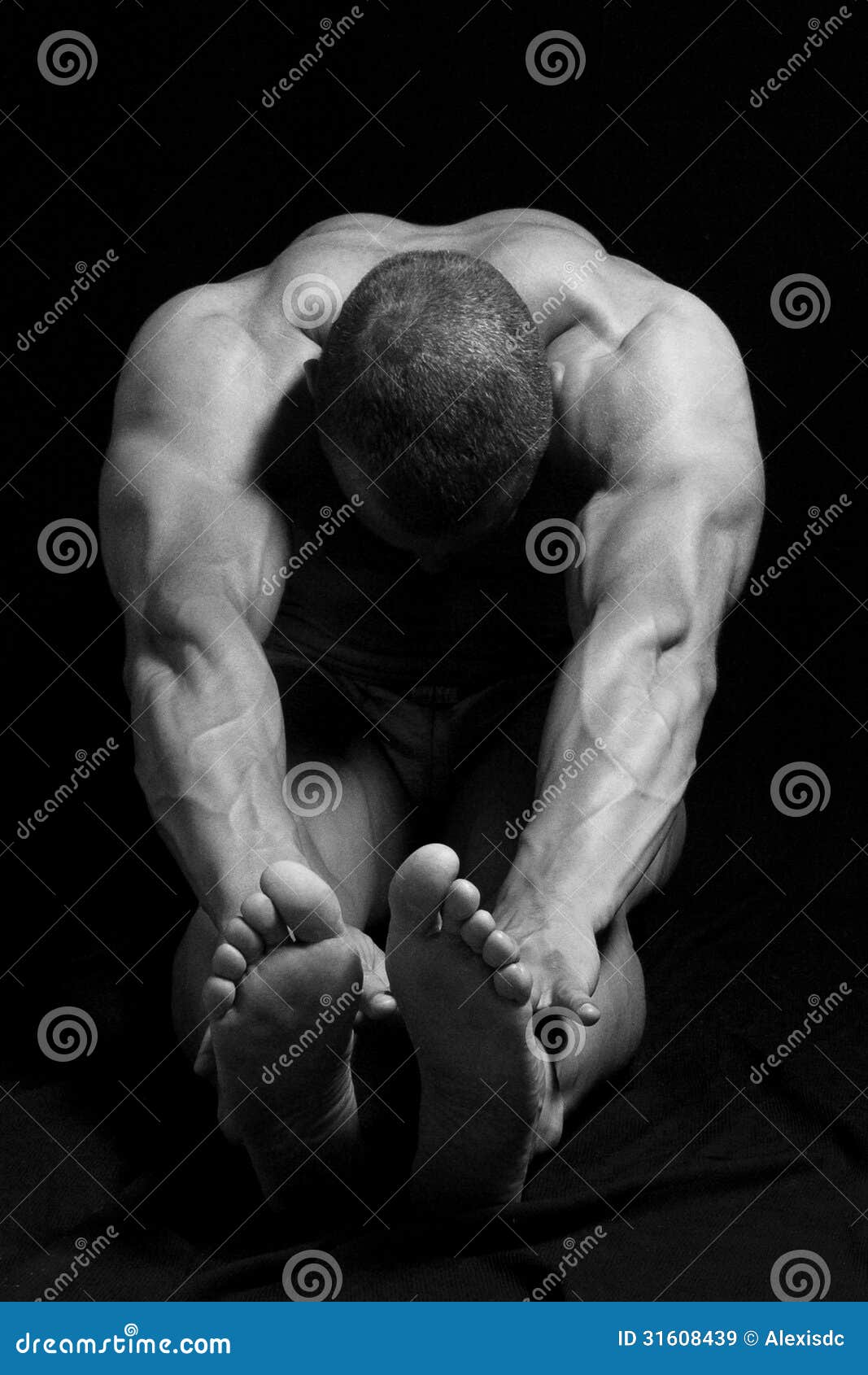 Strong male body stock image. Image of caucasian, muscles - 31608439