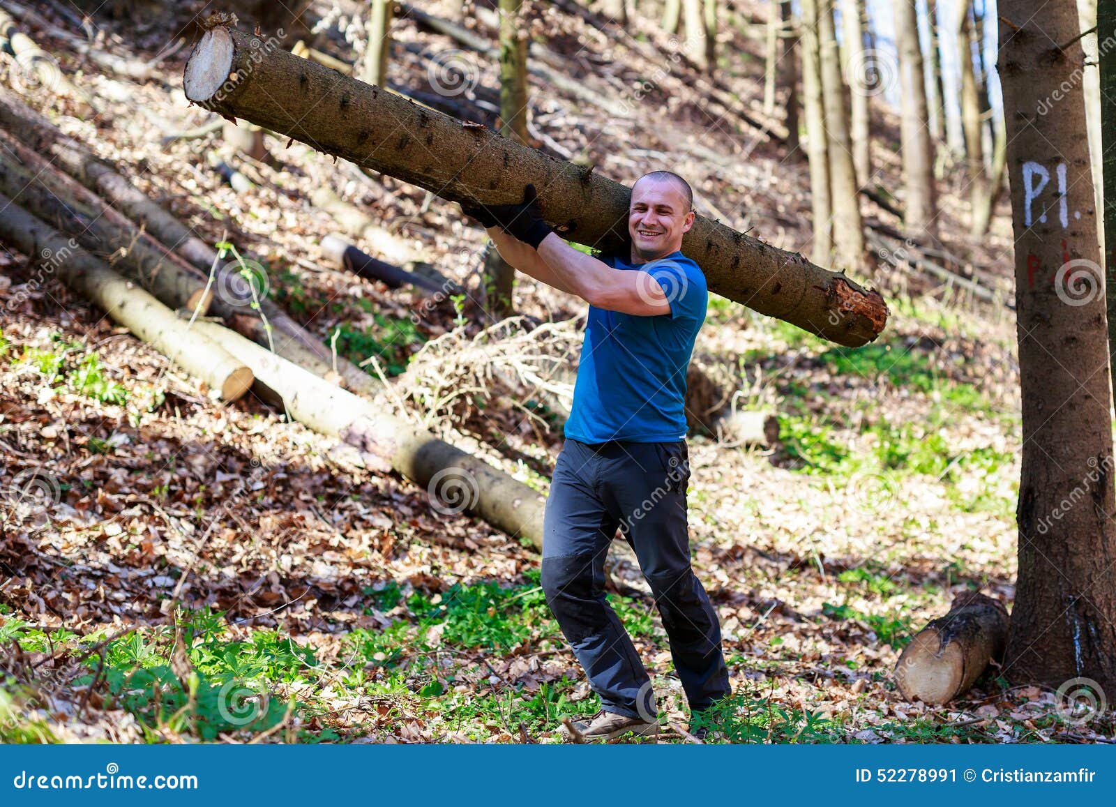 Strong Man Carrying a Tree Trunk Stock Image - Image of wood ...