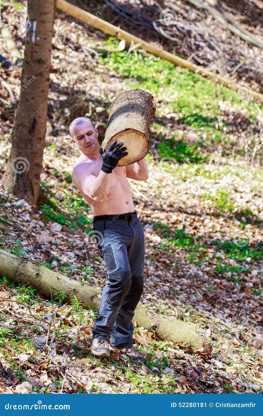 Strong Man Carrying a Tree Trunk Stock Image - Image of trunk, muscles ...